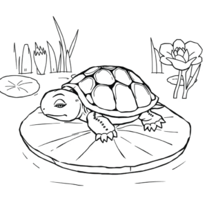 Free Printable Turtle Coloring Pages for Kids – 20 Designs